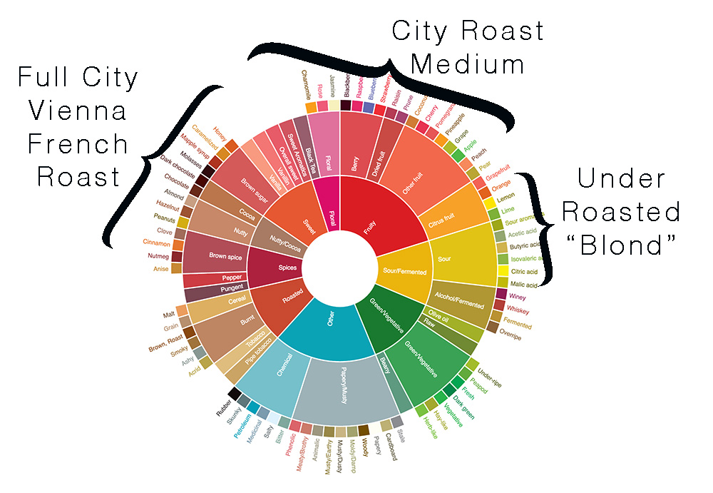 Why Your Coffee Tastes Sour & How Toomer’s Low-Acid Roasting Fixes It